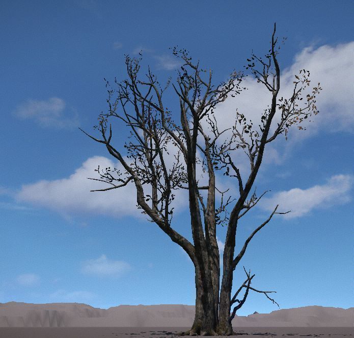 3D model Ancient Tree V7 VR / AR / low-poly | CGTrader