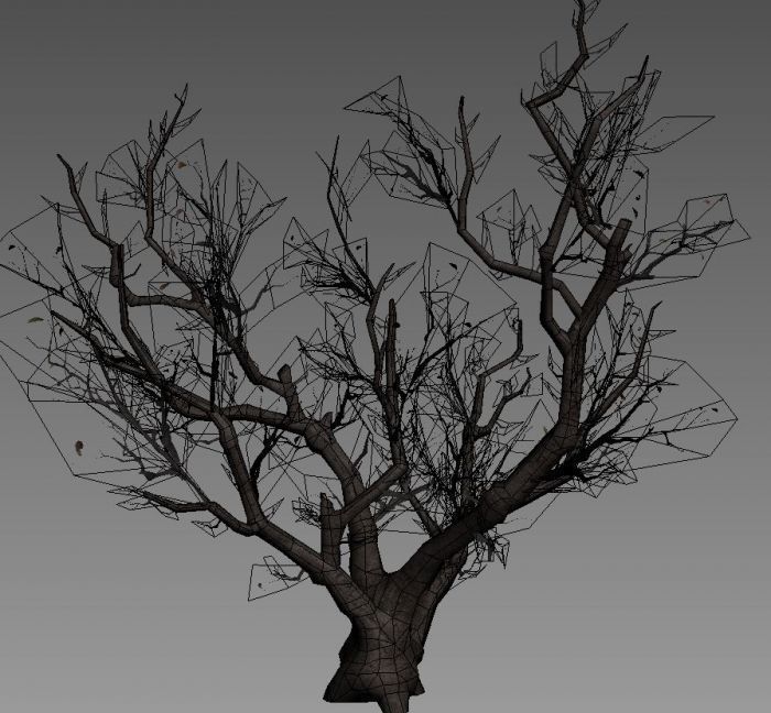 3D model Ancient Tree V8 VR / AR / low-poly | CGTrader