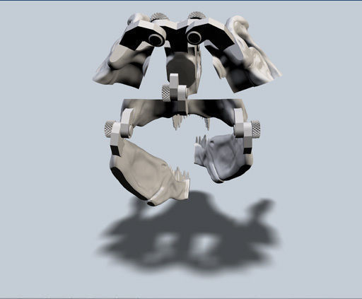 Exploded T-Rex Skull free 3D model 3D printable | CGTrader