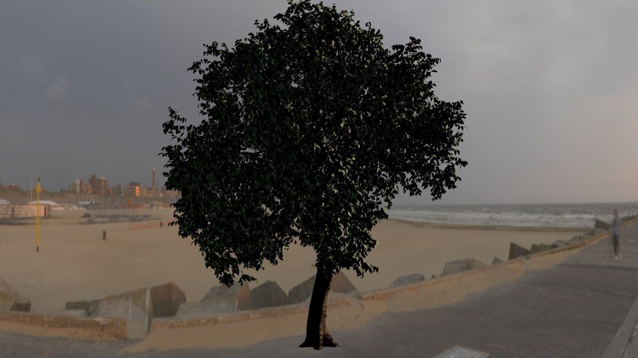 Tree mesh an texture 3D model | CGTrader