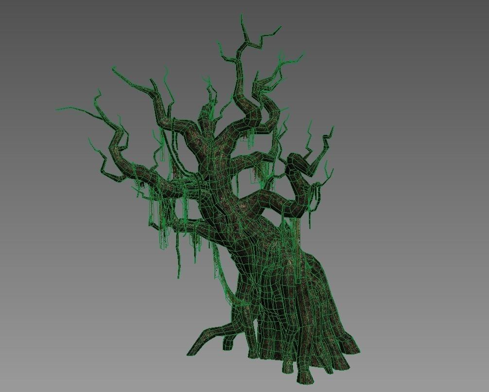 3D model Ancient Tree V16 VR / AR / low-poly | CGTrader