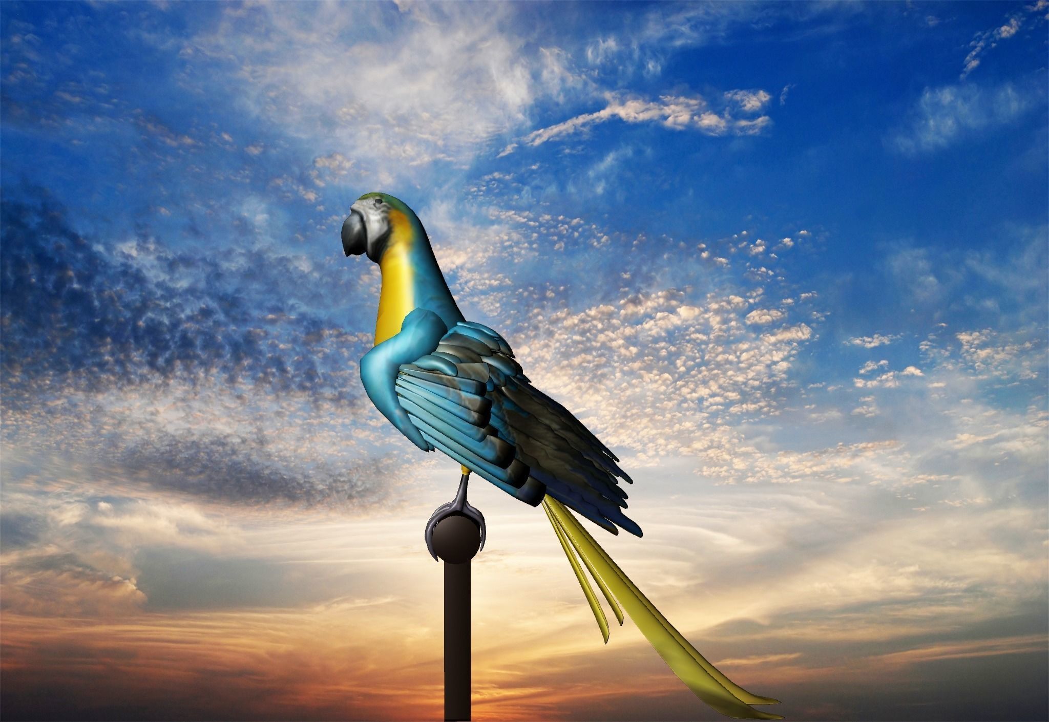 3D model 3d Bird model VR / AR / low-poly | CGTrader