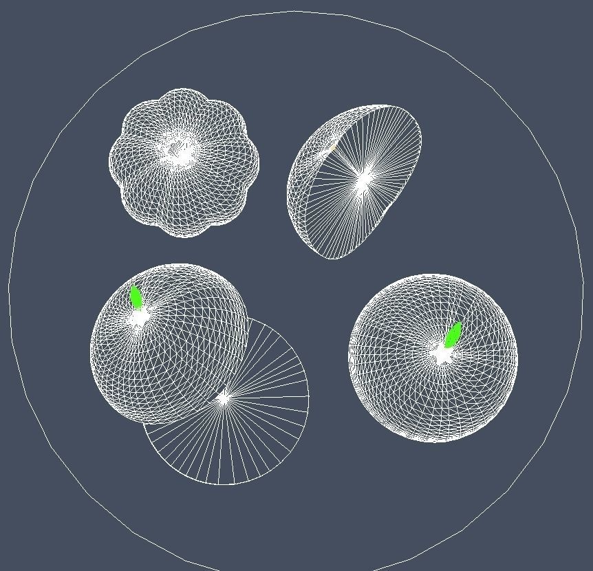 Japanese Orange Mikan free 3D model | CGTrader