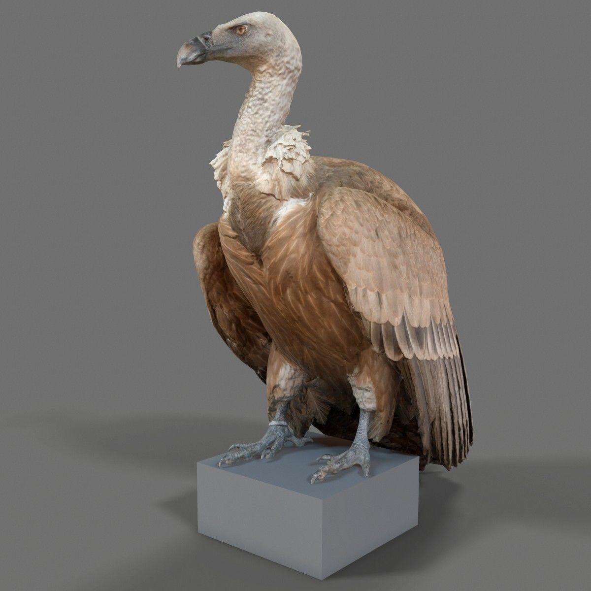 Vulture 3D printable 3D model 3D printable | CGTrader