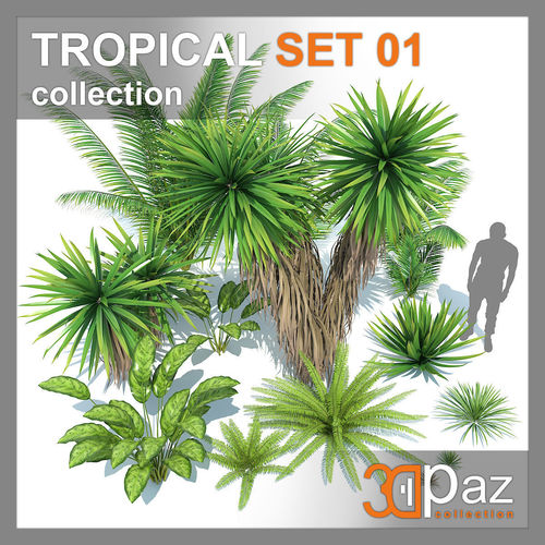 TROPICAL SET 01 3D model | CGTrader