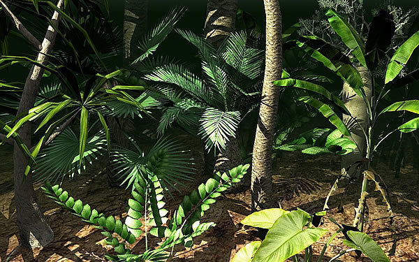 3D model Tropical Models VR / AR / low-poly | CGTrader