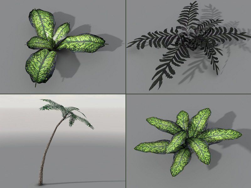 3D model Tropical Models VR / AR / low-poly | CGTrader