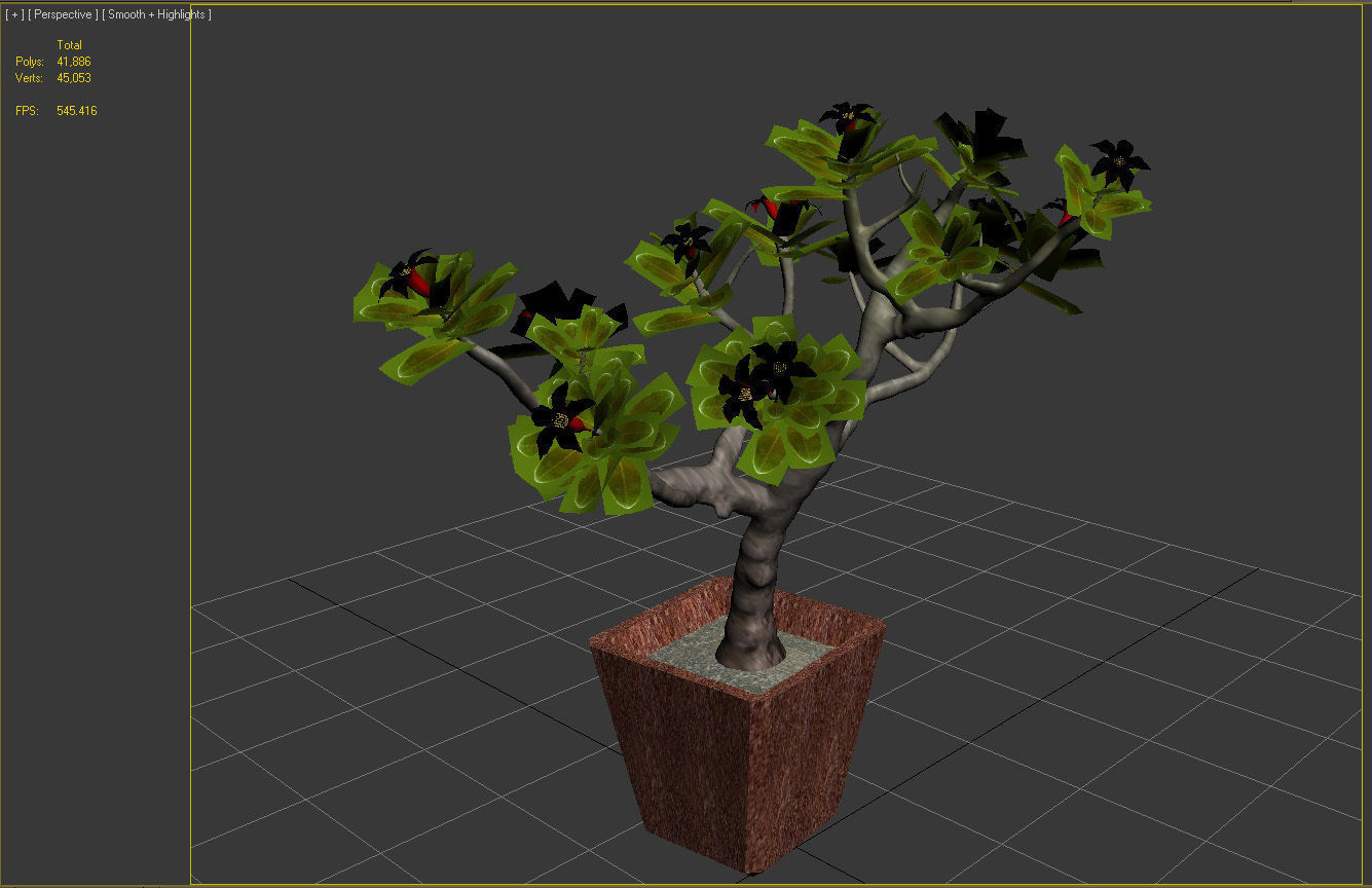 3D model Japan Frangipani Tree VR / AR / low-poly | CGTrader