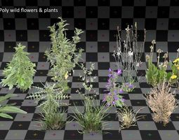 Low-poly Field 3D Models | CGTrader