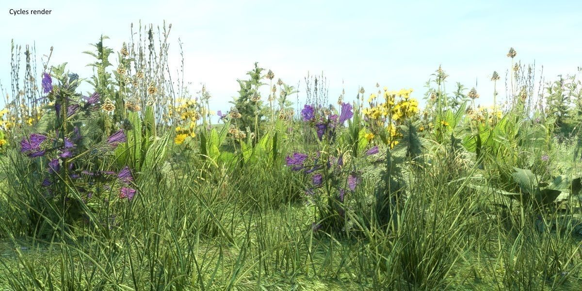3D model Green Fields - Low Poly models pack VR / AR / low-poly | CGTrader