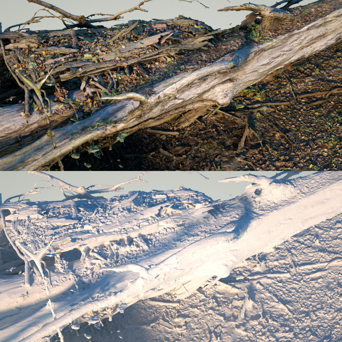 Tree Bridge 3D model | CGTrader