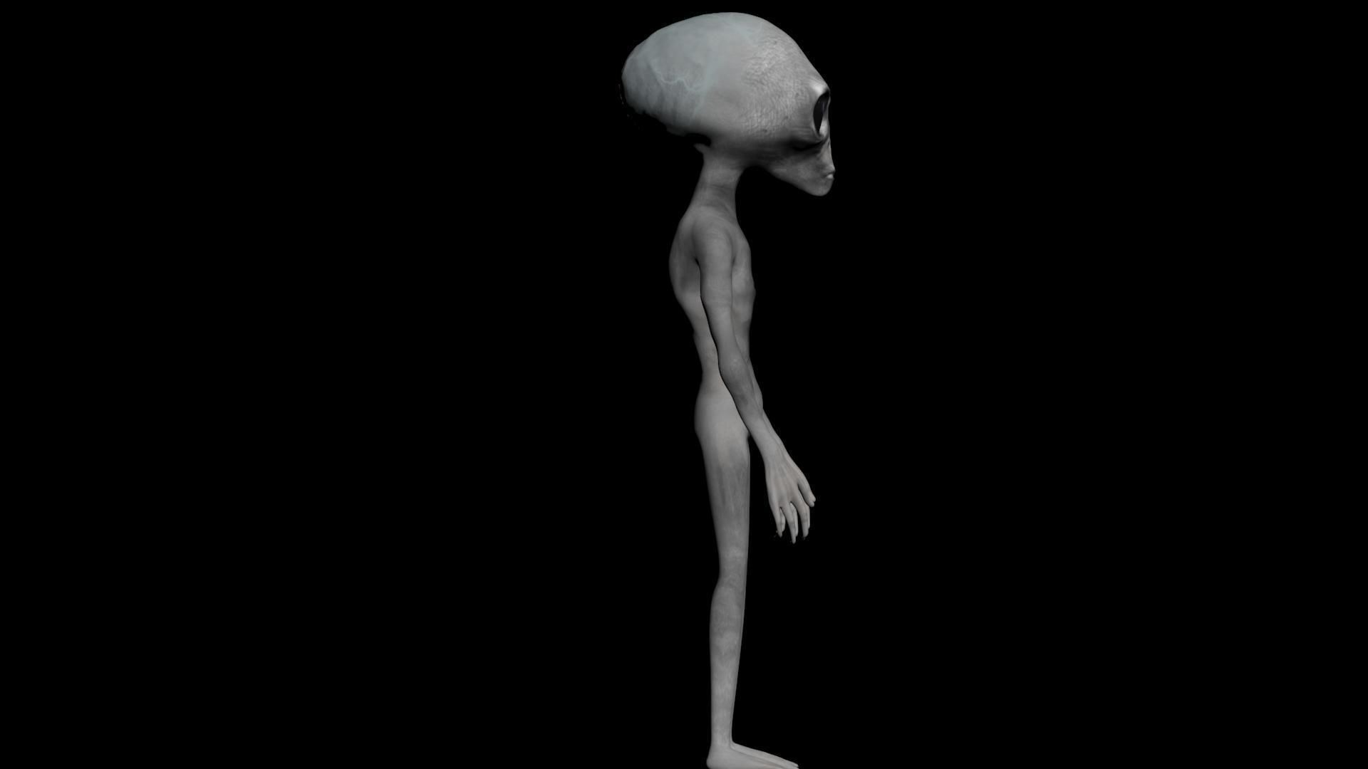 3D model Grey Alien From AREA 51 - Midway Games - Remastered VR / AR ...
