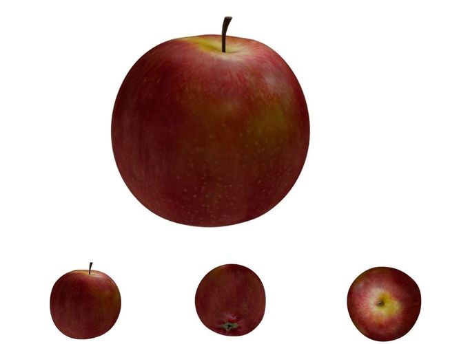 3D model Real apple VR / AR / low-poly | CGTrader