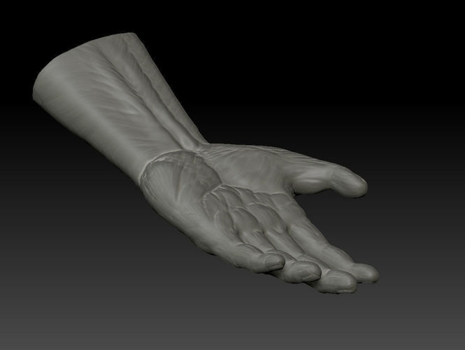 Simple Hand Sculpt free 3D model 3D printable | CGTrader