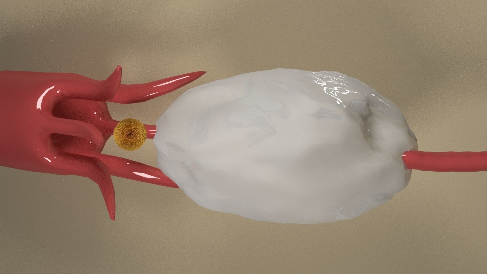 3D model Female ovary | CGTrader
