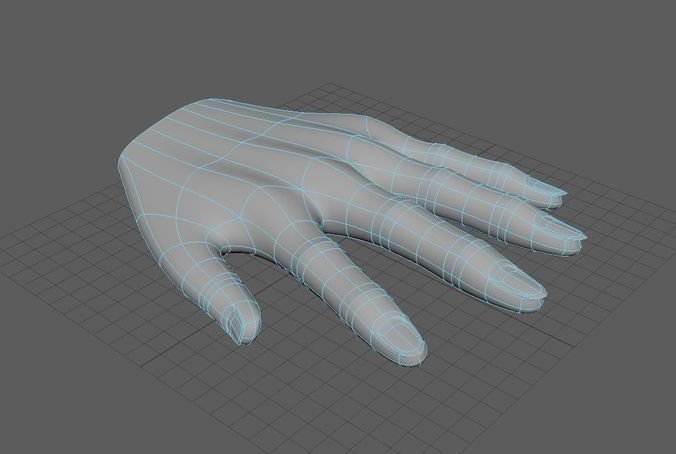 3D model Woman hand base VR / AR / low-poly | CGTrader