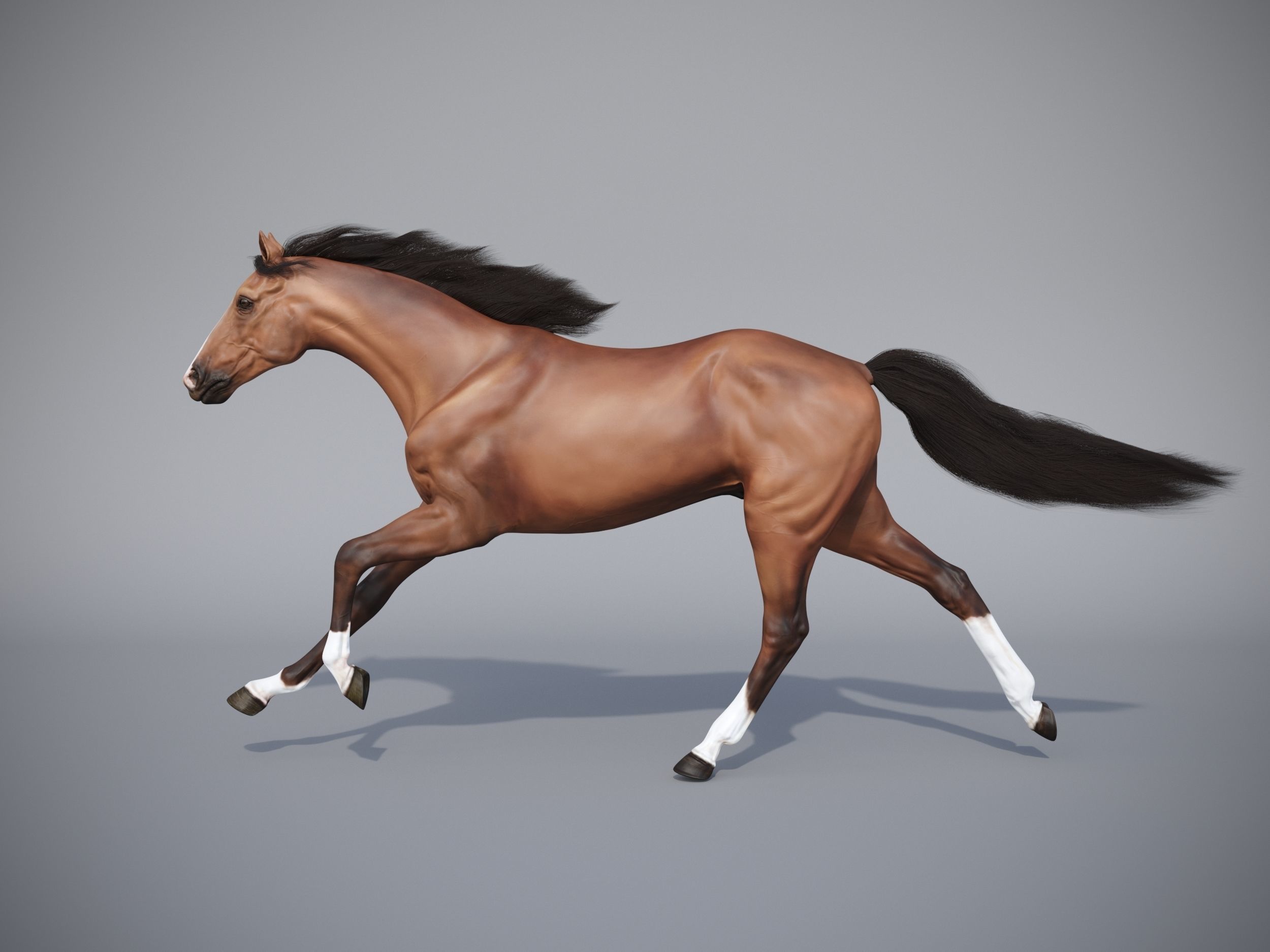 3D model horse running VR / AR / low-poly | CGTrader