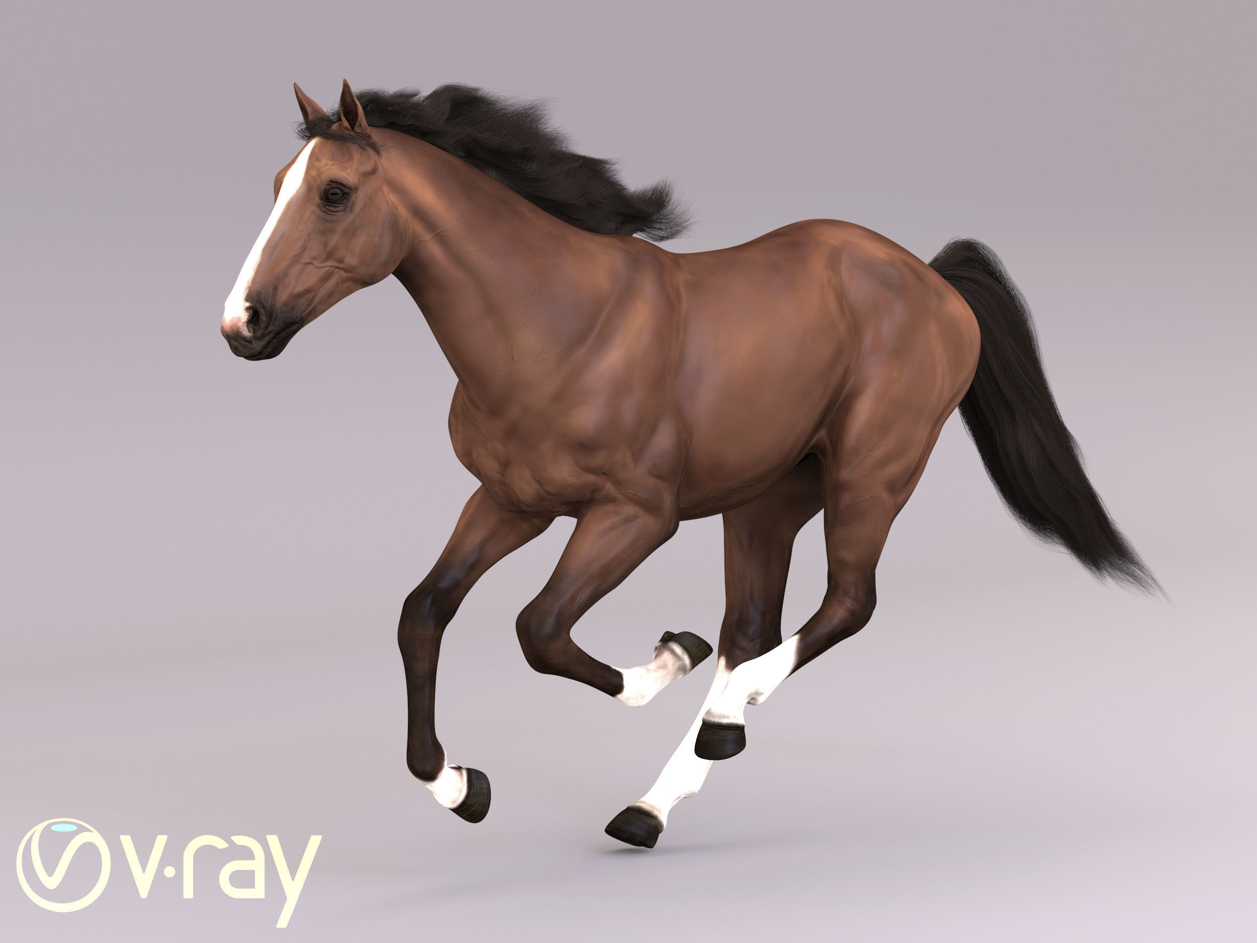 3D model horse running VR / AR / low-poly | CGTrader