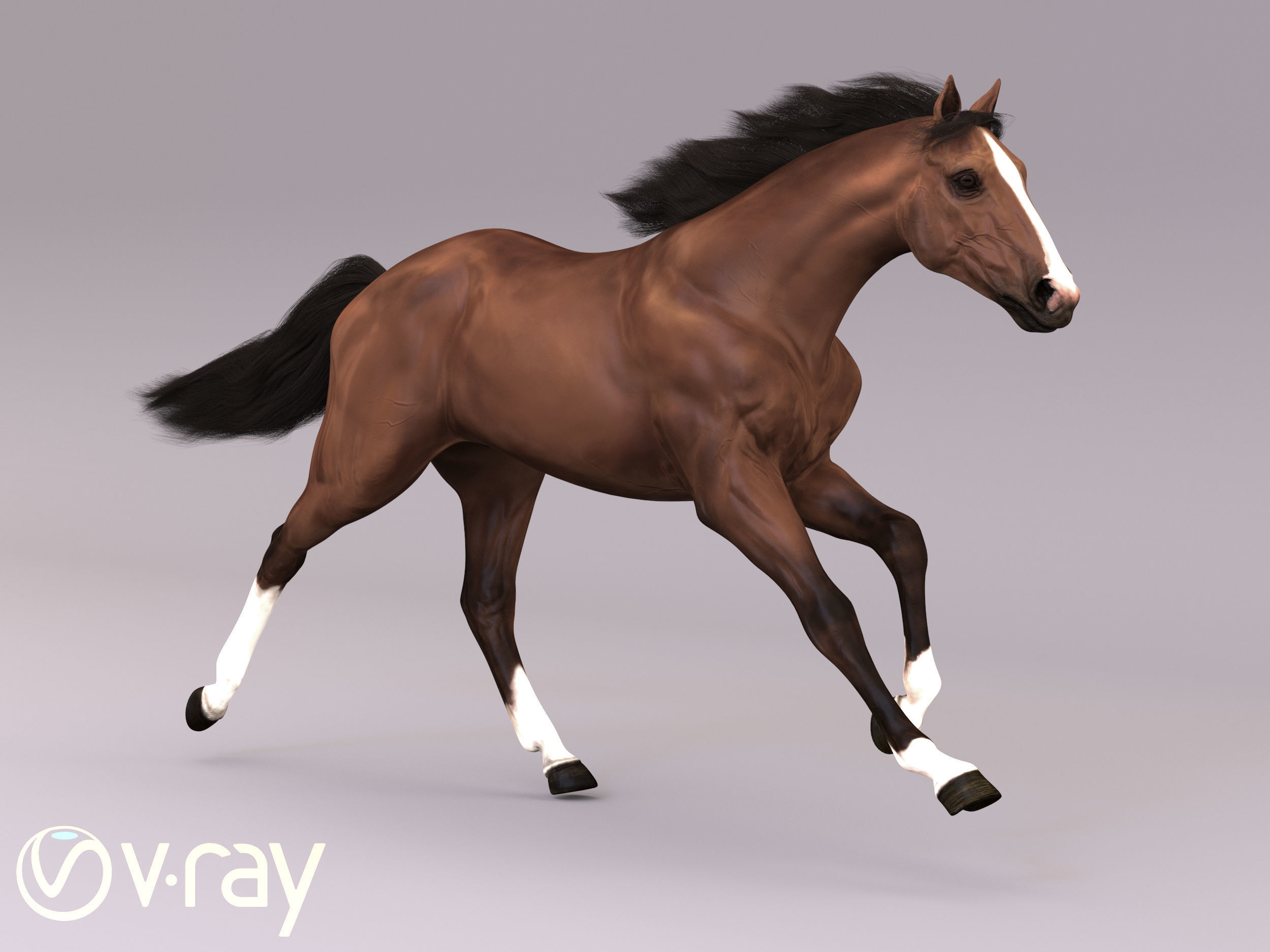 3D model horse running VR / AR / low-poly | CGTrader