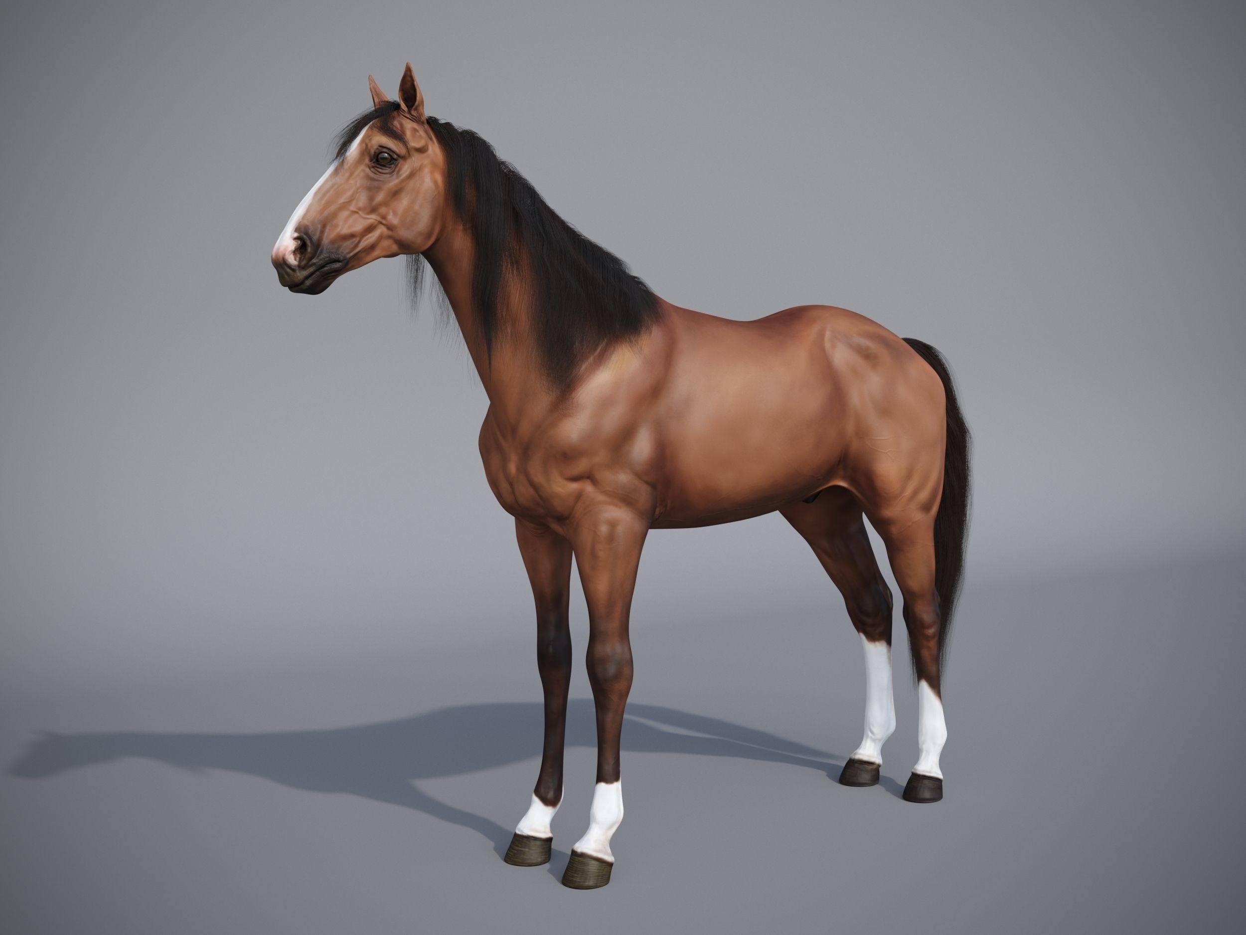 3D model horse running VR / AR / low-poly | CGTrader