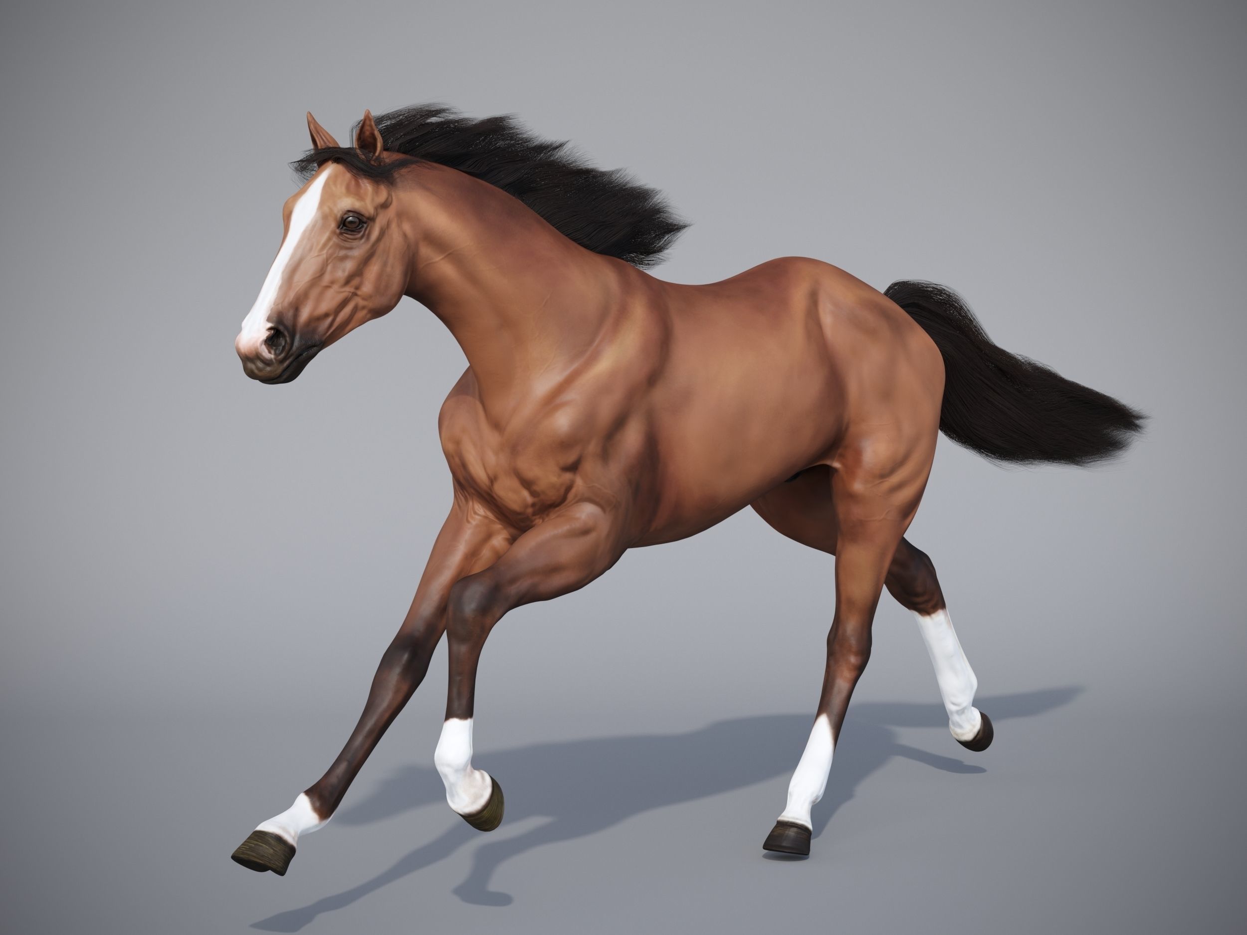 3D model horse running VR / AR / low-poly | CGTrader