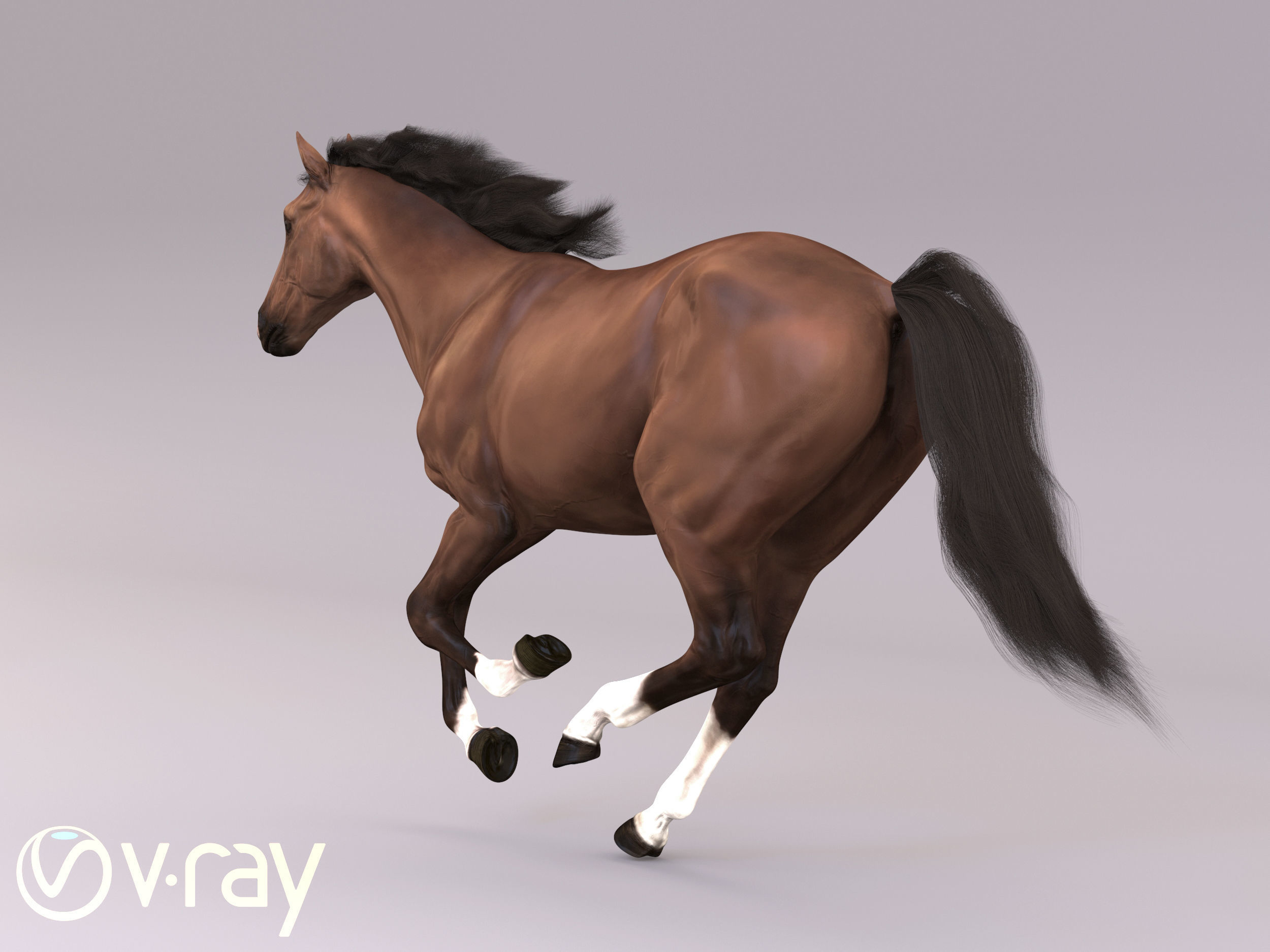 3D model horse running VR / AR / low-poly | CGTrader