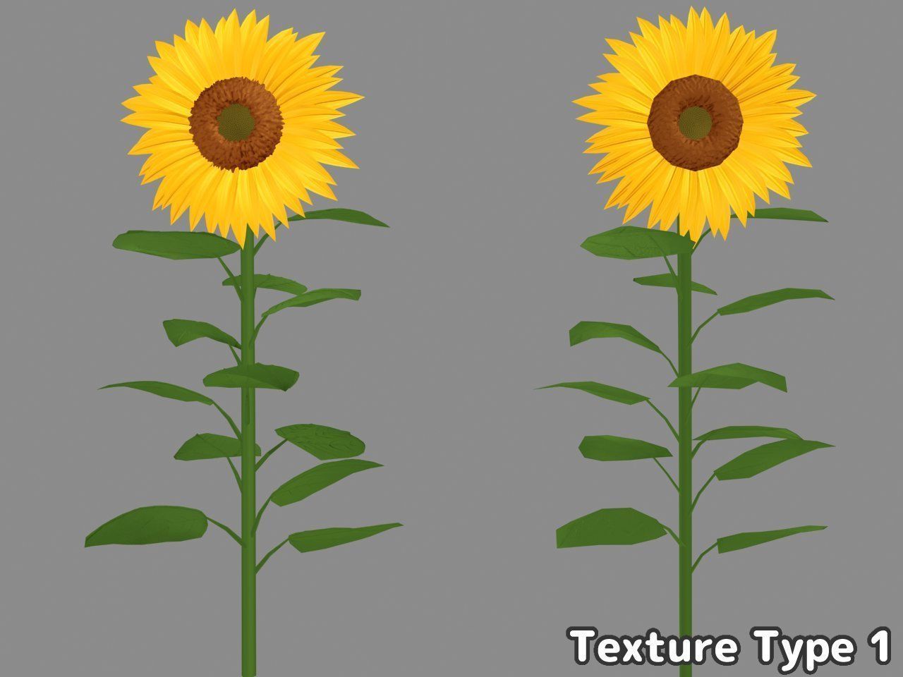 Cartoon-Styles Sunflower 3D model | CGTrader