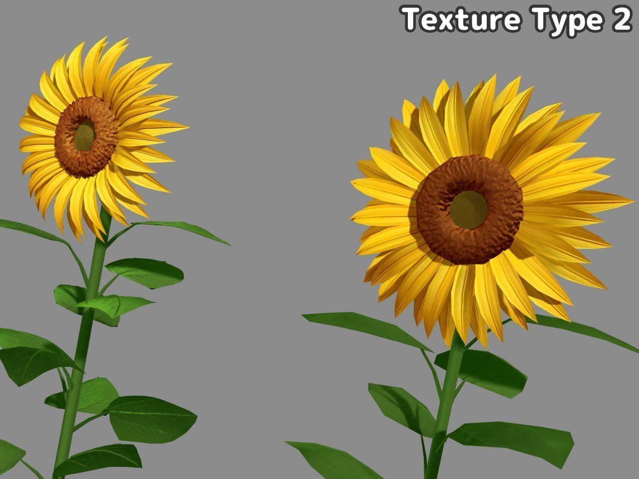 Cartoon-Styles Sunflower 3D model | CGTrader