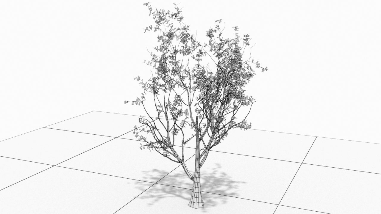 3D model Tree animation VR / AR / low-poly animated | CGTrader