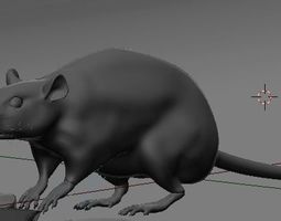 Rat 3D Models | CGTrader