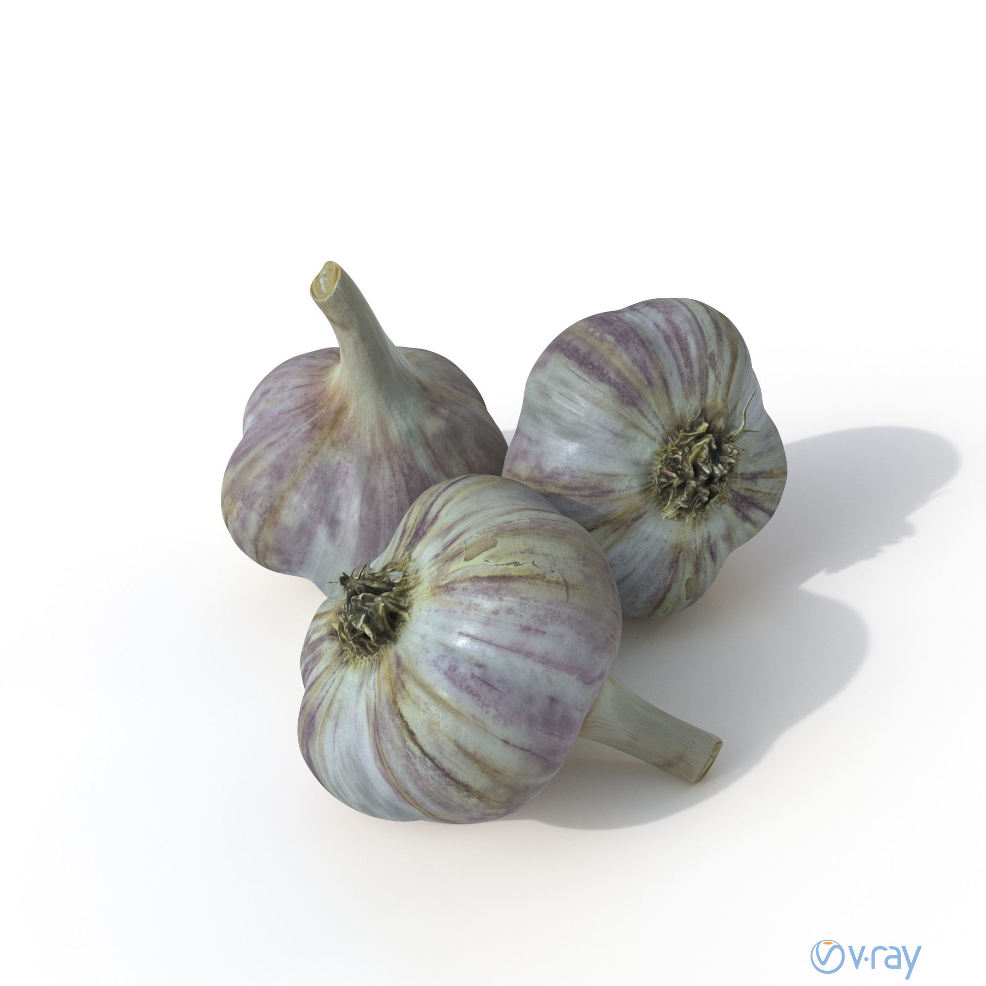 Garlic 3D model | CGTrader