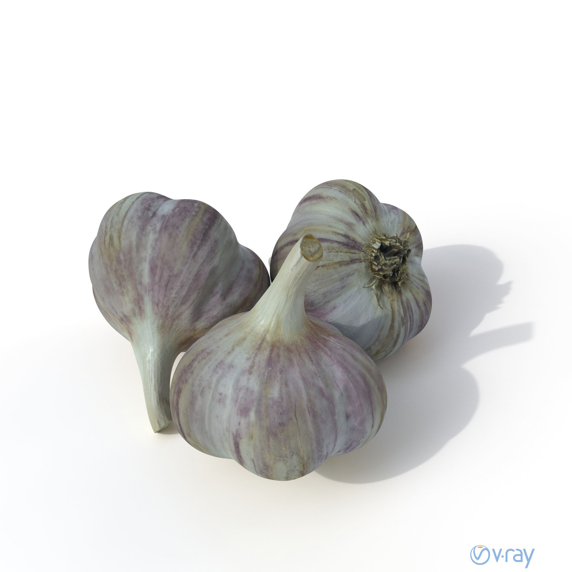 Garlic 3D model | CGTrader