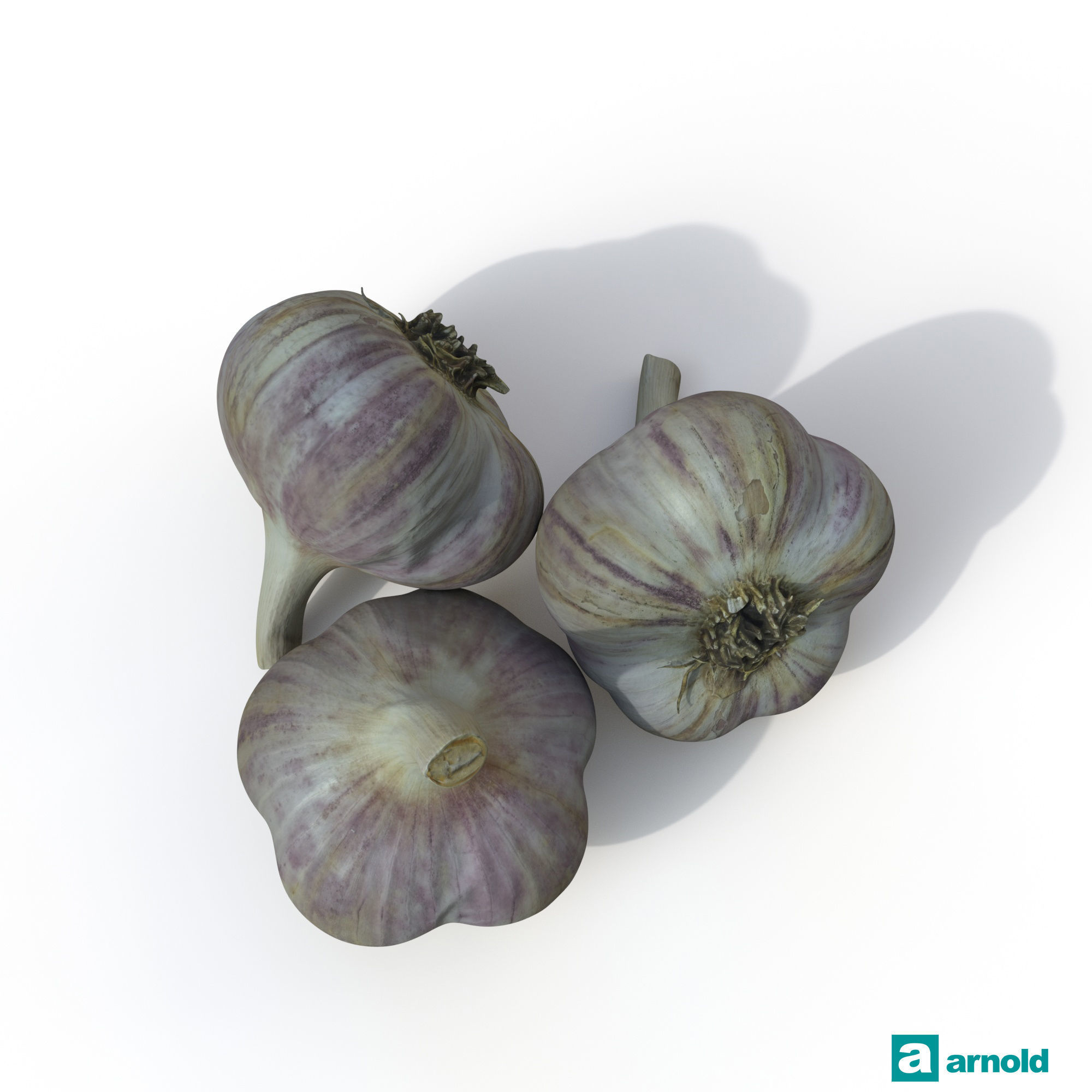Garlic 3D model | CGTrader
