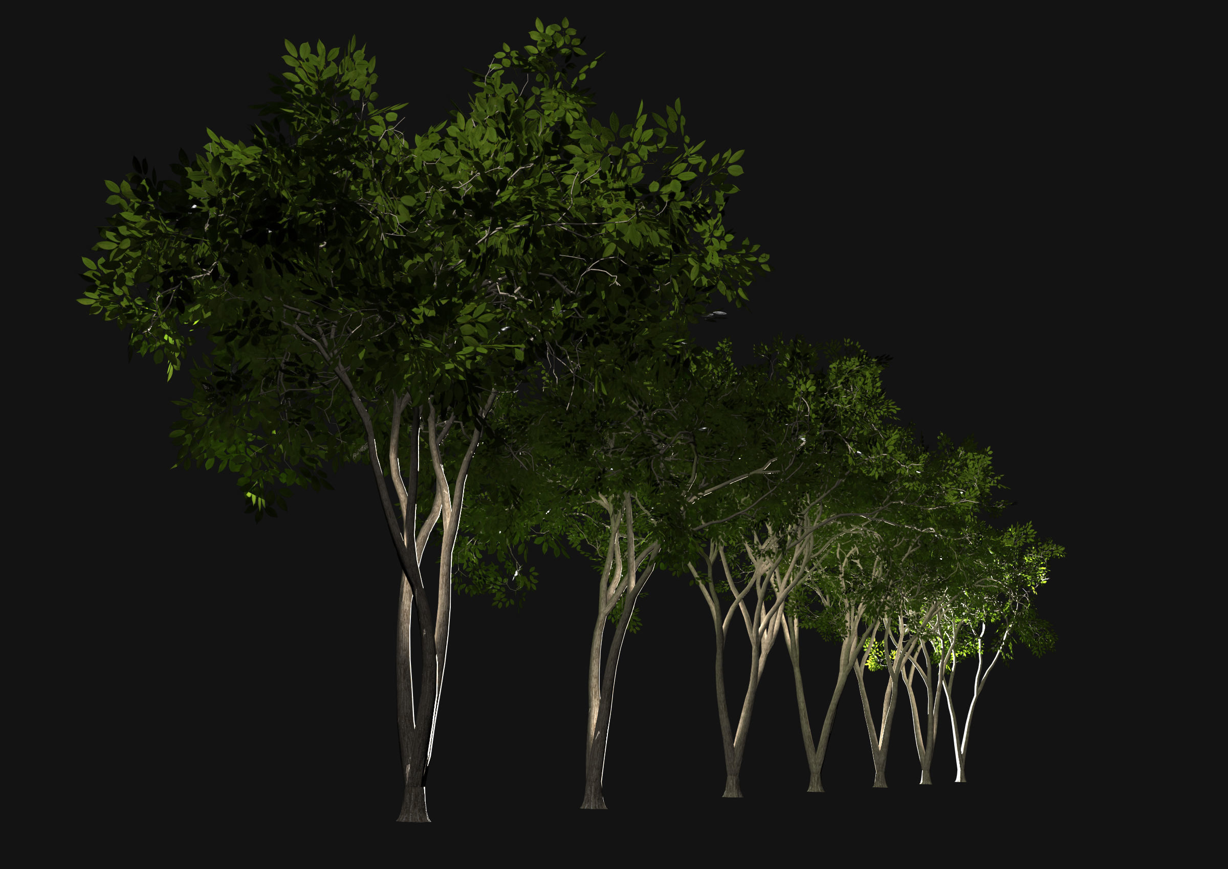 3D model Deciduous tree 3D model VR / AR / low-poly | CGTrader