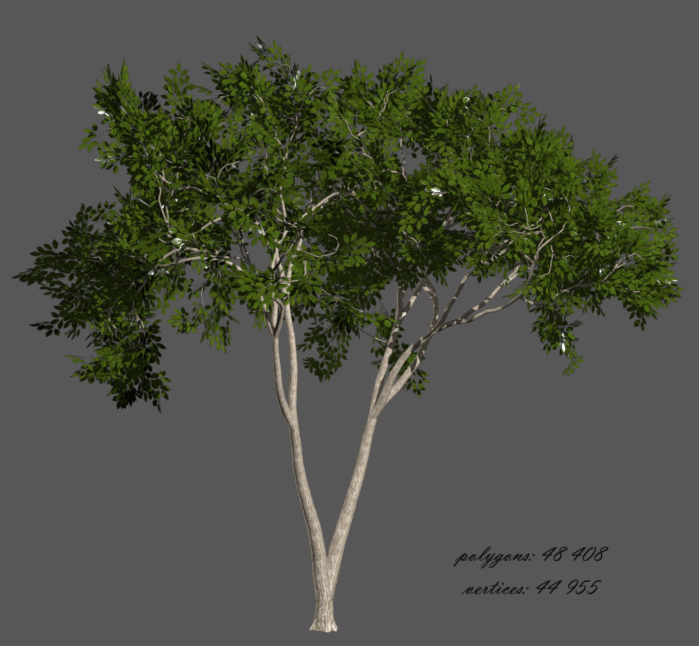 3D model Deciduous tree 3D model VR / AR / low-poly | CGTrader