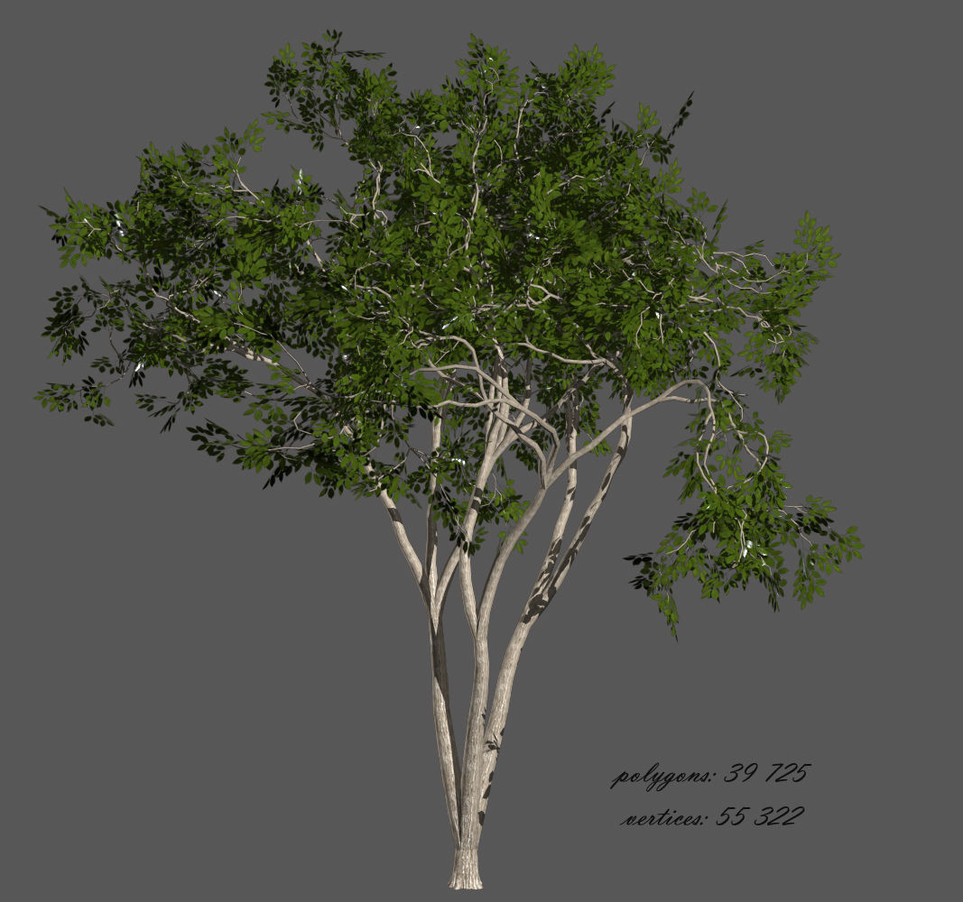 3D model Deciduous tree 3D model VR / AR / low-poly | CGTrader