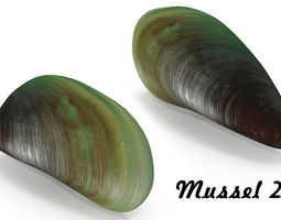 Mussel 3D Models | CGTrader