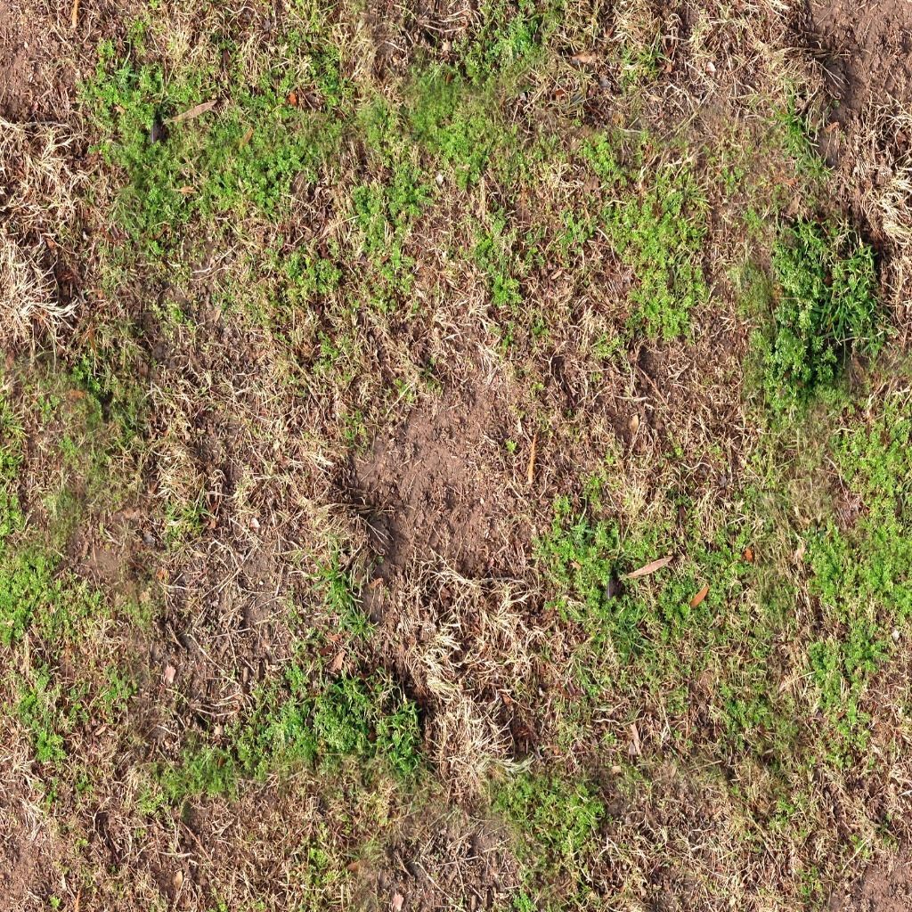 Ground Covers 1 Texture | CGTrader