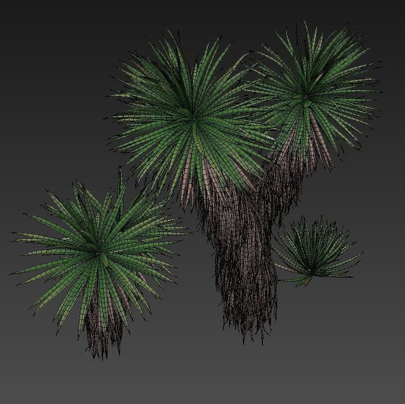 Yucca 3D model | CGTrader