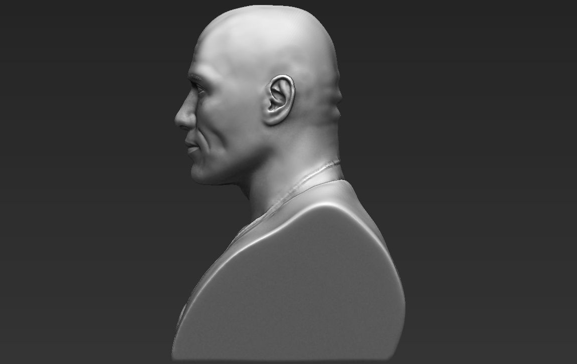 Dwayne Rock Johnson bust ready for full color 3D printing 3D model 3D ...