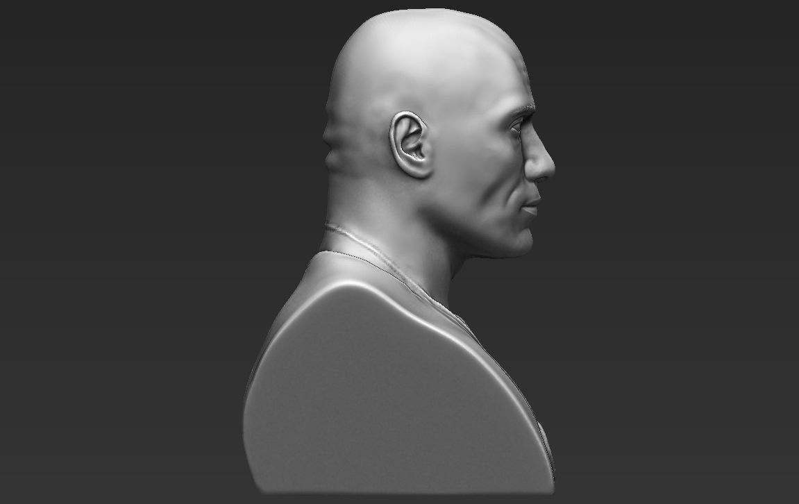 Dwayne Rock Johnson bust ready for full color 3D printing 3D model 3D ...