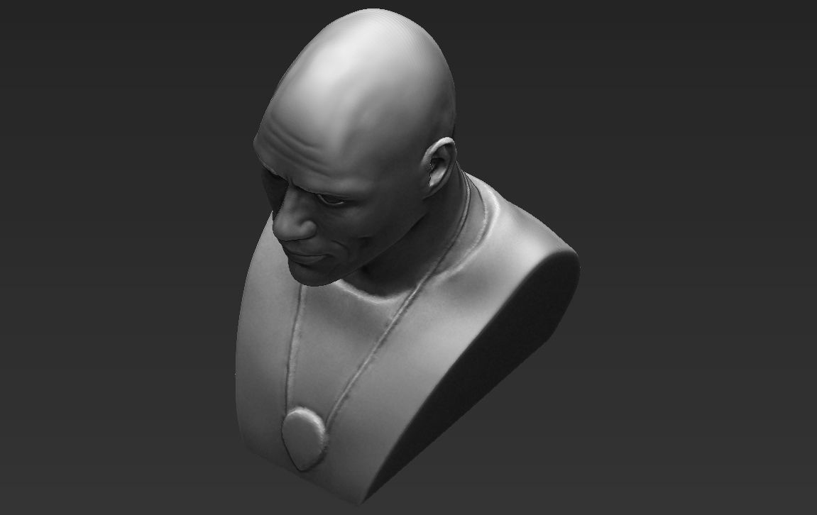 Dwayne Rock Johnson bust 3D printing ready stl obj formats 3D model 3D ...