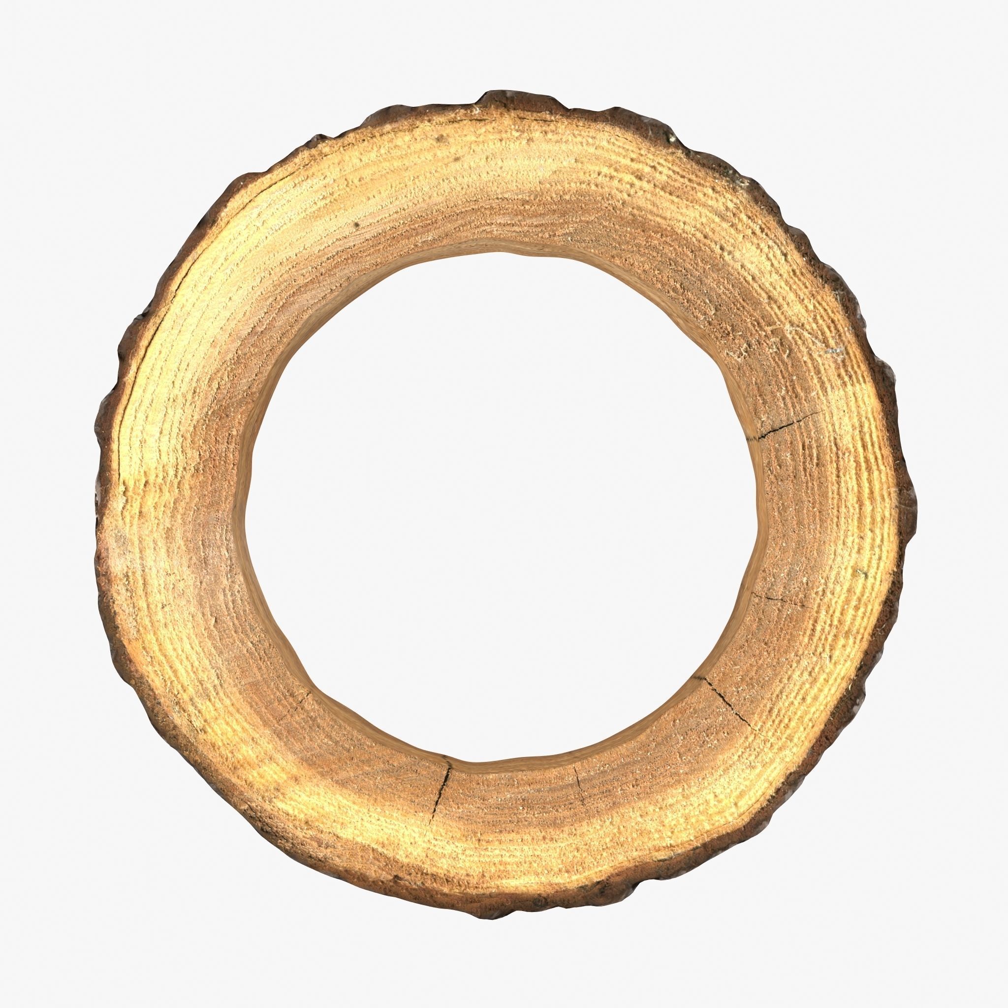 Wood Log Ring 3D model | CGTrader