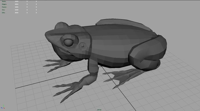 frogs frog 3D model | CGTrader