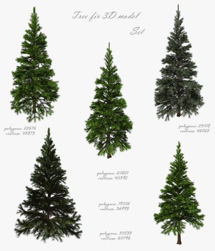 3D model Tree fir 3D model VR / AR / low-poly | CGTrader