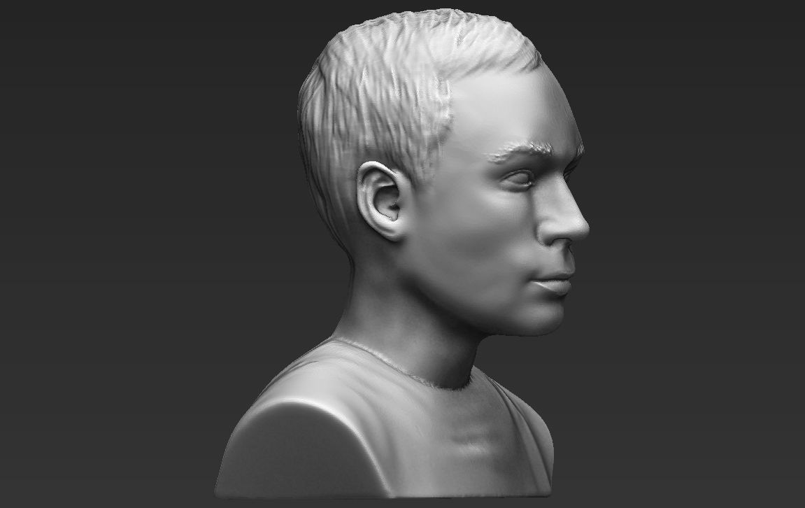 Sheldon Big Bang Theory bust ready for full color 3D printing 3D model ...