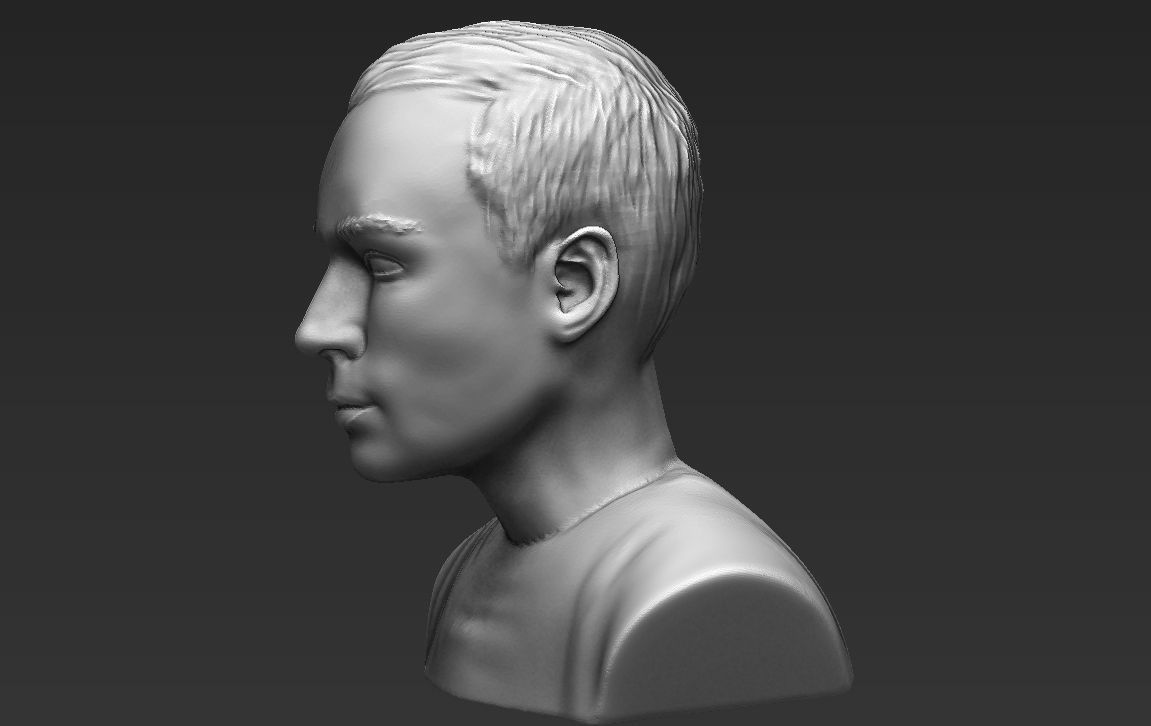 Sheldon Big Bang Theory bust ready for full color 3D printing 3D model ...