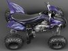 Yamaha Raptor 700s 2014 Quad 3D model | CGTrader