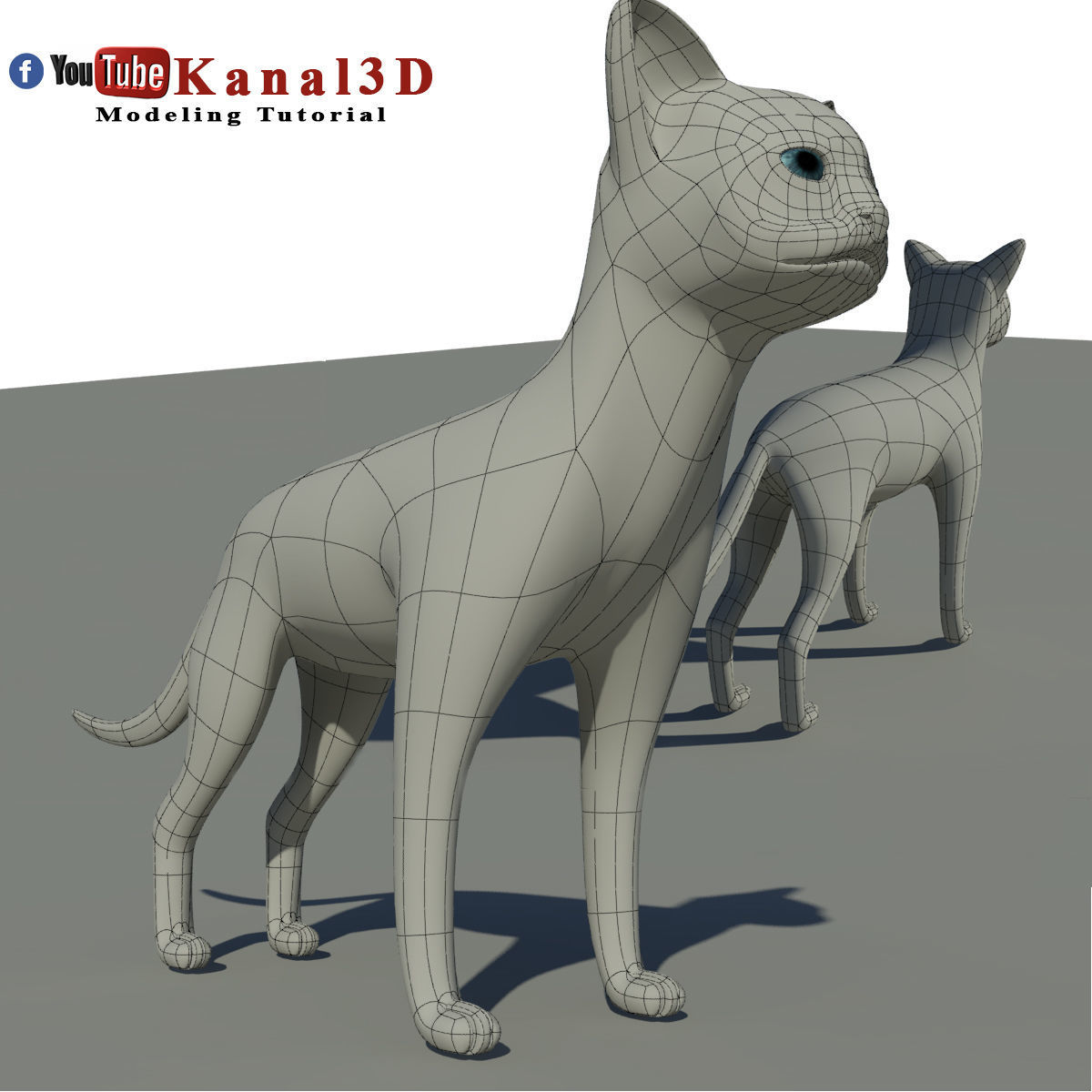 3D Cat Model free 3D model | CGTrader