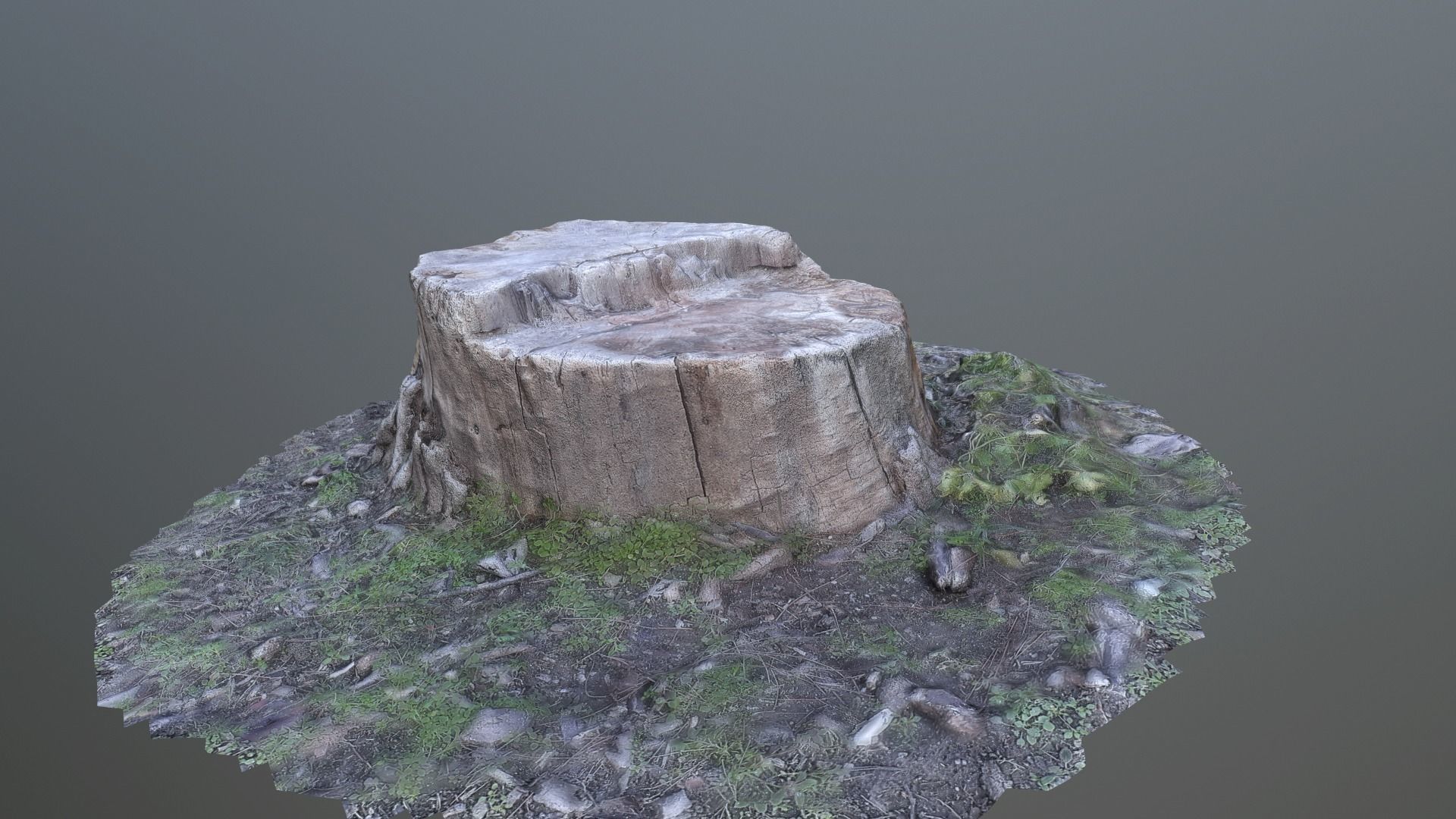 3D model Tree stump Photo scanned lowpolly VR / AR / low-poly | CGTrader
